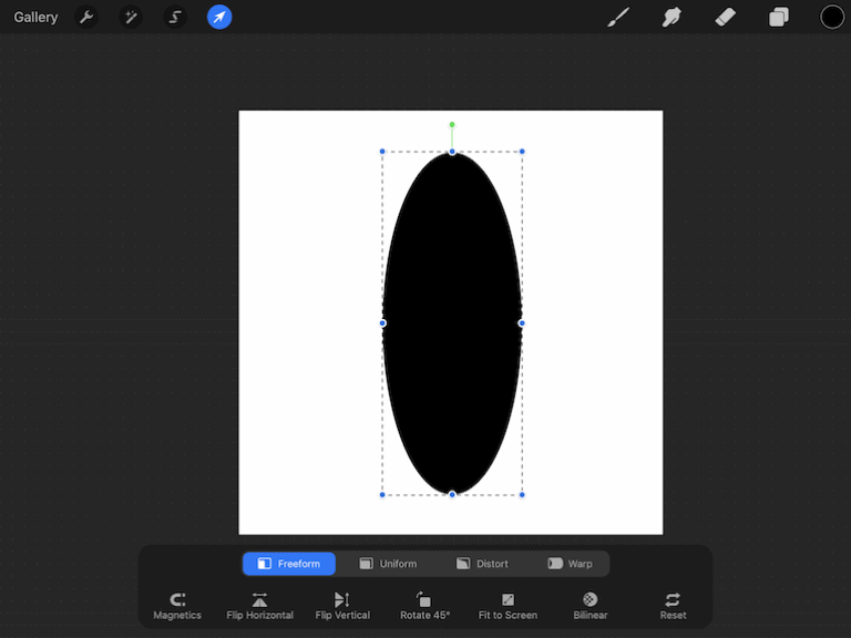 Free Procreate Lettering Brush for Modern Calligraphy