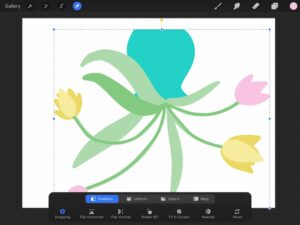 Using Selection and Transform in Procreate - Ebb and Flow Creative Co