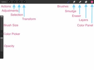 How to Use Procreate - Ebb and Flow Creative Co