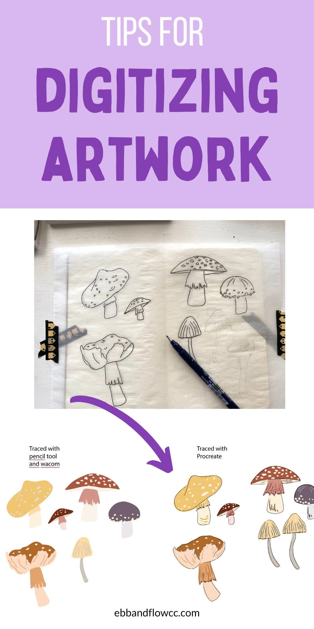 How to Convert Drawings to Vectors - Ebb and Flow Creative Co