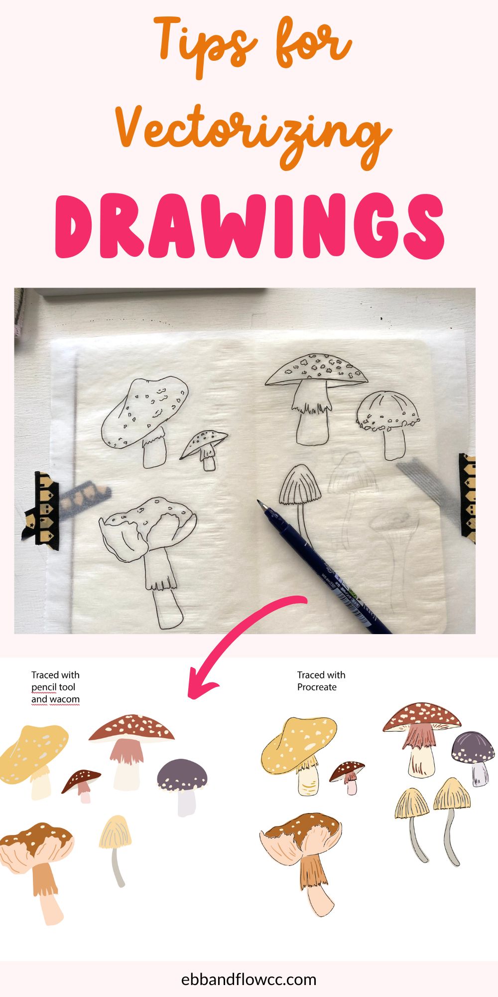 How to Convert Drawings to Vectors - Ebb and Flow Creative Co