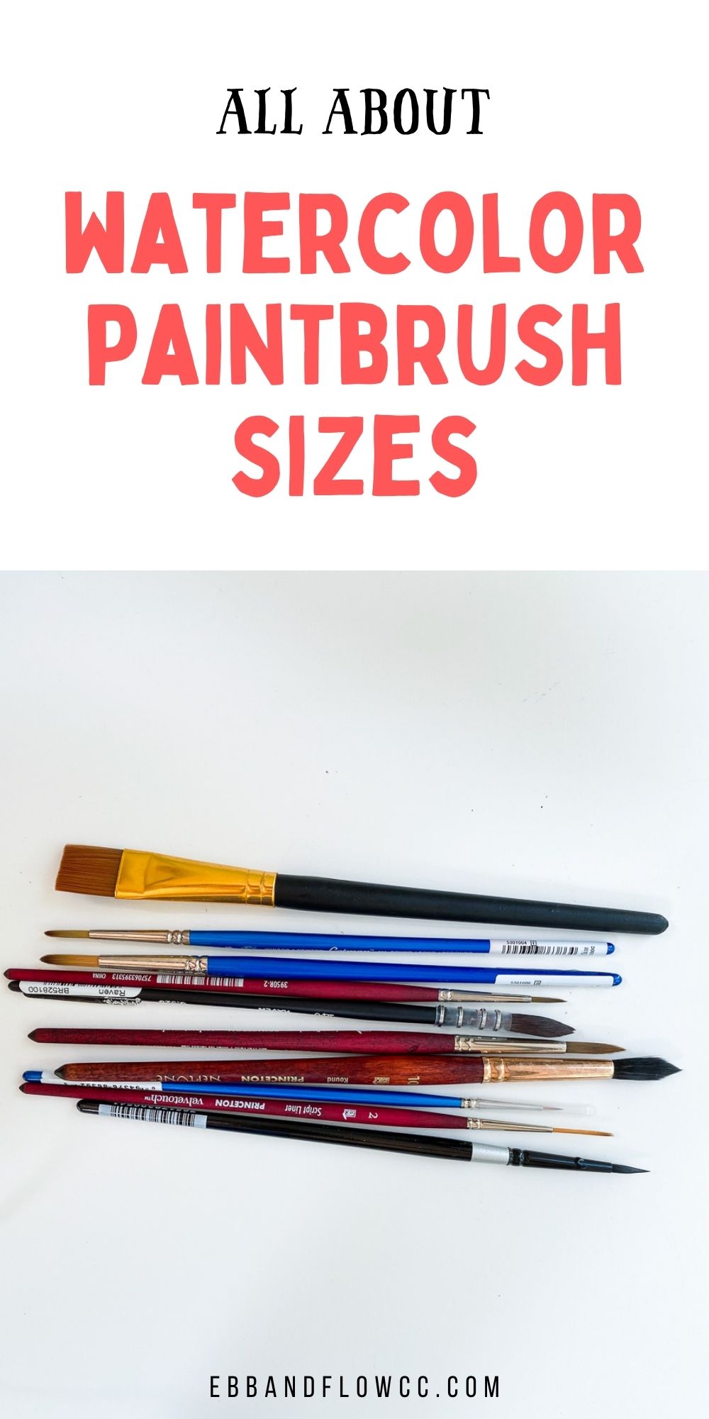 All About Watercolor Brush Sizes - Ebb and Flow Creative Co