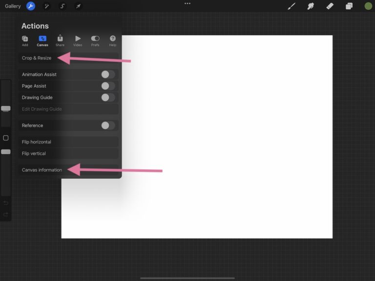 The Best Canvas Size for Procreate - Ebb and Flow Creative Co