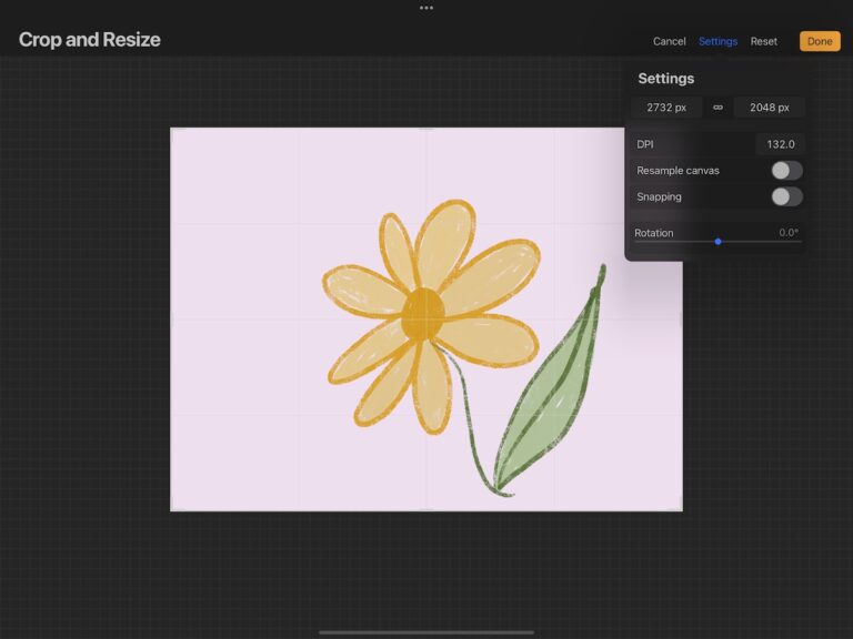 The Best Canvas Size for Procreate - Ebb and Flow Creative Co